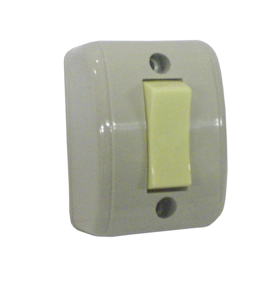 Interruptor Simples Paralelo Cinza 10a 250v Schneider - Santil